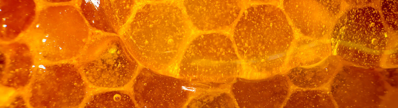 swiss-food.ch - Honig: 2021 Schlechtestes Erntejahr seit Jahrzehnten